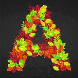 D Royalty Free Vector Image - VectorStock