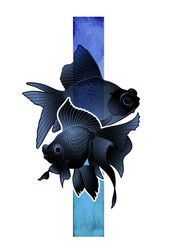 Graphic telescope fish Royalty Free Vector Image