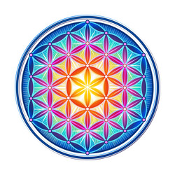 Circle Of Life Symbol