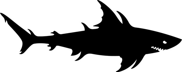 Megalodon tooth Royalty Free Vector Image - VectorStock