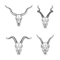 Set hand drawn skulls horned animals Royalty Free Vector