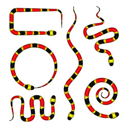 Coral snake seamless pattern skin background Vector Image
