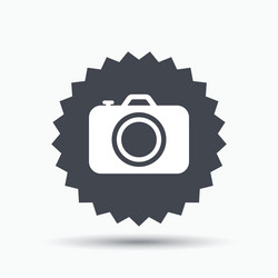 Camera icon professional photocamera sign Vector Image
