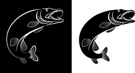 Pike Royalty Free Vector Image - VectorStock