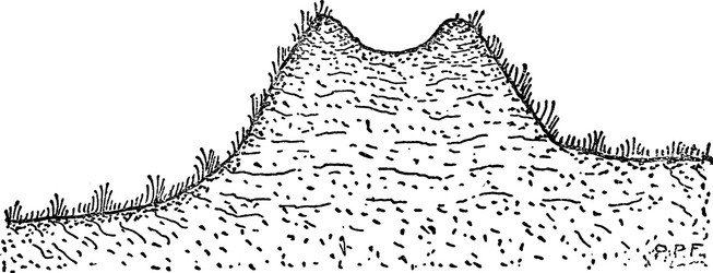 Ditch Vector Images (over 300)