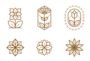 Beautiful geometric flower logos linear designs Vector Image
