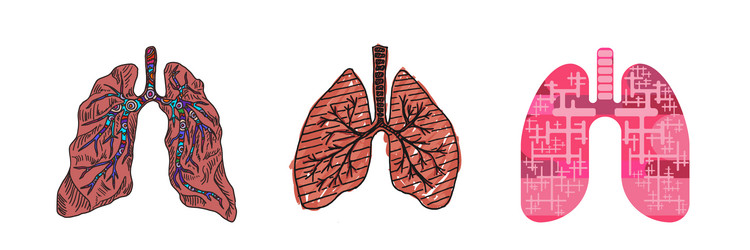 Drawings of human lungs in different styles Vector Image
