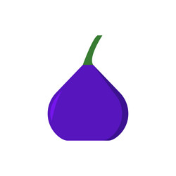 Simple fig in flat style Royalty Free Vector Image