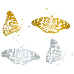 Butterflies set cute cartoons gold glitter Vector Image