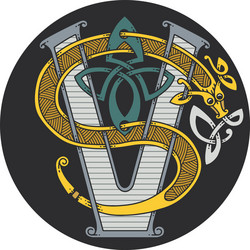 Monogram in the celtic style with a dragon Vector Image