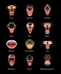 Dog Mouth Vector Images (over 2,800)