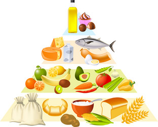 Food Group Macronutrients Royalty Free Vector Image