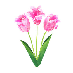 Single Tulip Vector Images (over 860)