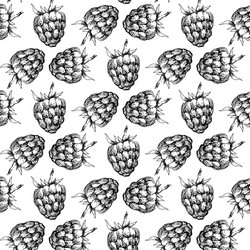 Raspberry seamless pattern for your design Vector Image