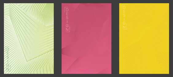 Colorful linear composition a set of layouts Vector Image