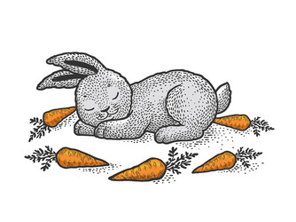 Cartoon sleeping rabbit pop art Royalty Free Vector Image