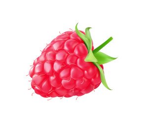 Cartoon doodle raspberry Royalty Free Vector Image