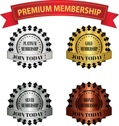 Premium membership packages Royalty Free Vector Image