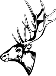 Elk Vector Images (over 13,000)