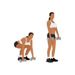 Woman doing dumbbell deadlift exercise Royalty Free Vector
