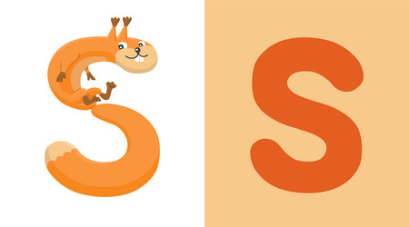S is for squirrel letter squirrel cute animal Vector Image