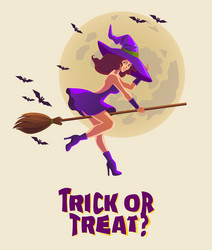 Halloween with witch on broom Royalty Free Vector Image
