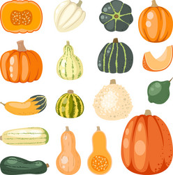 Cartoon pumpkin different shapes and sizes Vector Image