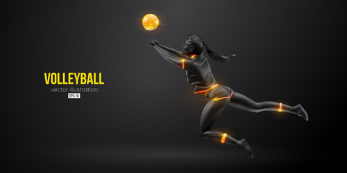 Abstract Volleyball Female Vector Images (over 360)