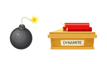 Dynamite red stick and box as explosive material Vector Image