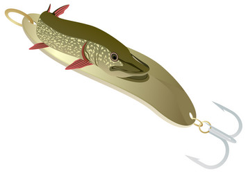 Minnow Vector Images (over 780)