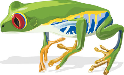 Tree Frog Vector Images (over 2,900)