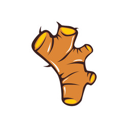 Turmeric Plant Vector Images (over 1,200)