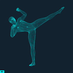 Fighting man 3d model of man polygonal design Vector Image