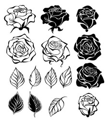 Contoured simple rose flowers buds and leaves set Vector Image