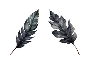 Gothic leaf clipart isolated Royalty Free Vector Image