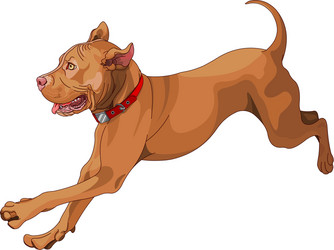 Cute dog cartoon running Royalty Free Vector Image