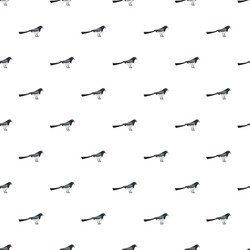 Magpie Vector Images (over 1,200)