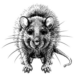 Mouse Tattoo Vector Images (over 630)