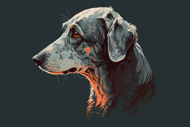 Old dog Royalty Free Vector Image - VectorStock