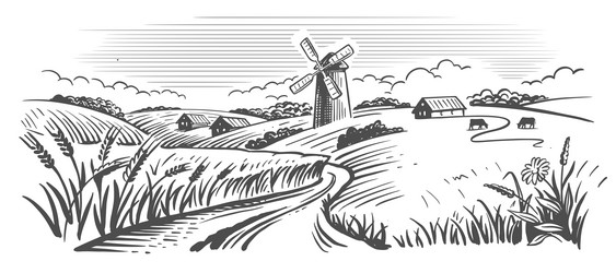 Wheat organic farming landscape farm Royalty Free Vector