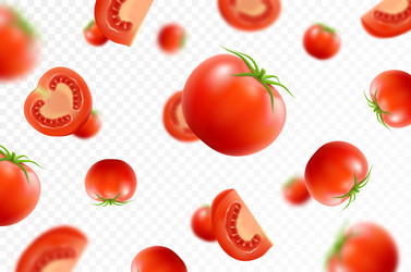 Tomato background falling fresh ripe tomatoes Vector Image
