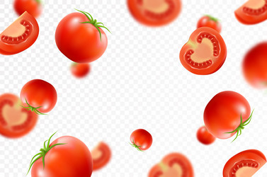 Tomato background falling fresh ripe tomatoes Vector Image
