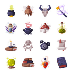 Collection occult magic objects for mystic Vector Image