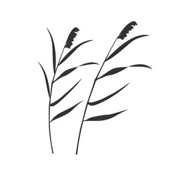 Silhouette reed Royalty Free Vector Image - VectorStock