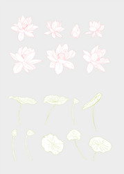Lotus flower set colored with gradients isolated Vector Image