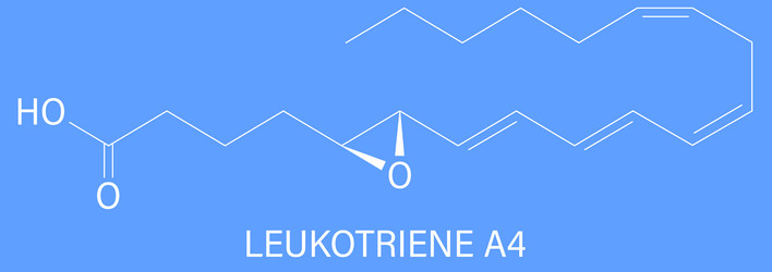 Leukotriene a4 lta4 molecule skeletal formula Vector Image