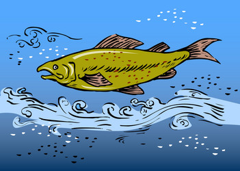 Trout Vector Images (over 12,000)
