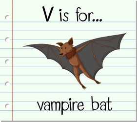 Bat Flashcard Vector Images (77)