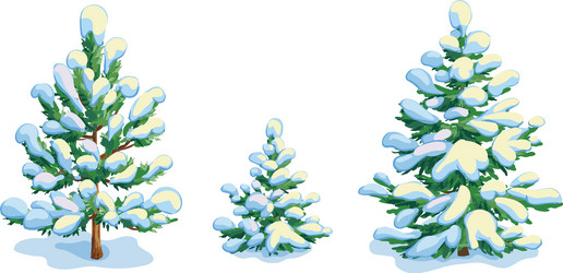 Pine tree Royalty Free Vector Image - VectorStock