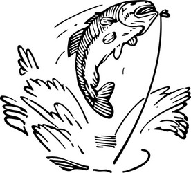 Mirror carp hand drawn fish sketch Royalty Free Vector Image